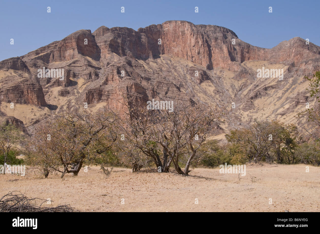 Sesfontein,Kunene,Kaokoland, North West Namibia, SW Africa Stock Photo ...