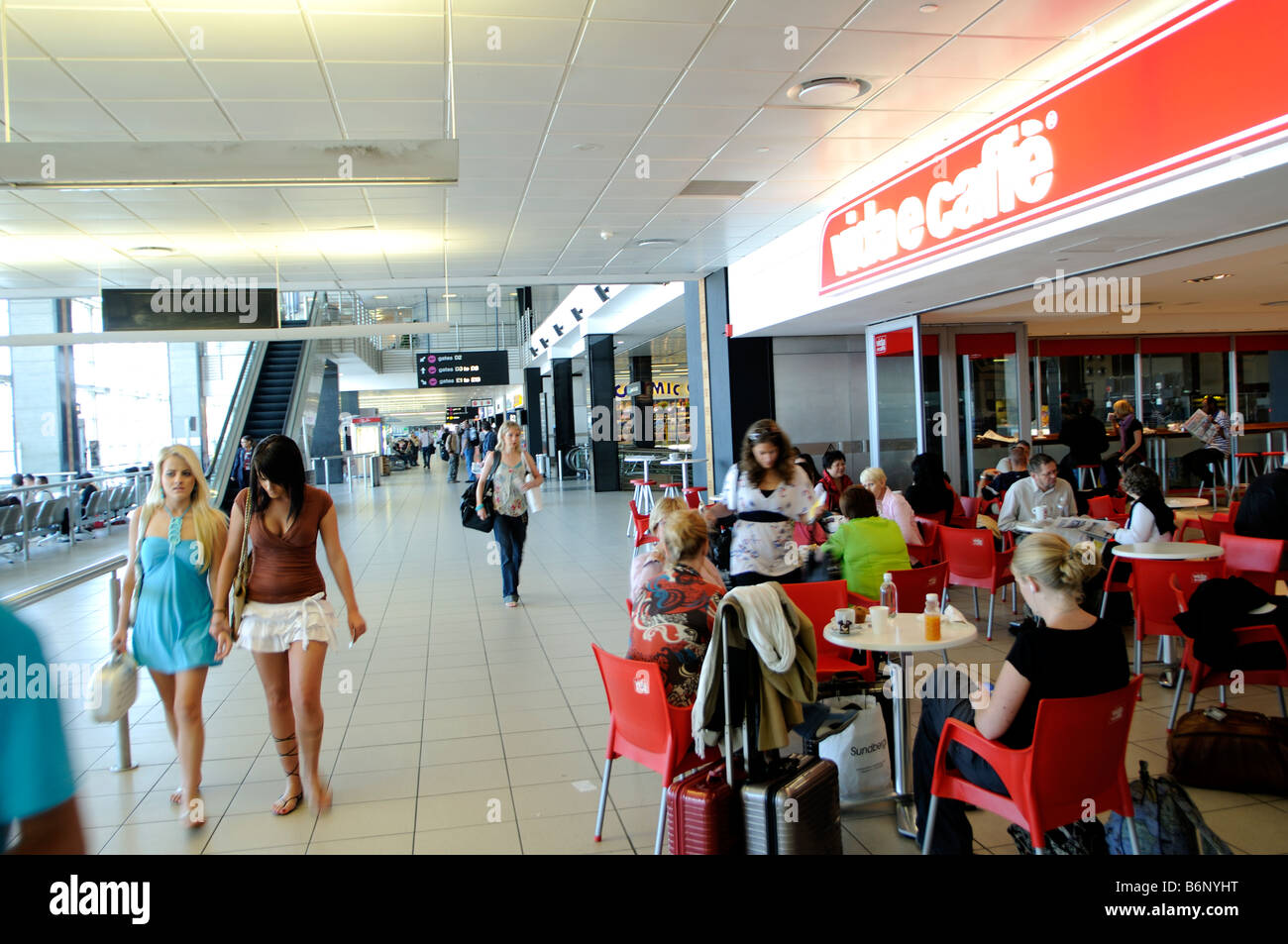 domestic terminal scene johannesburg tambo international airport south ...
