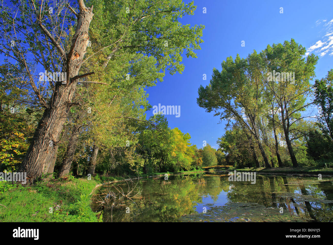 Fall scene vibrant colours hi-res stock photography and images - Alamy