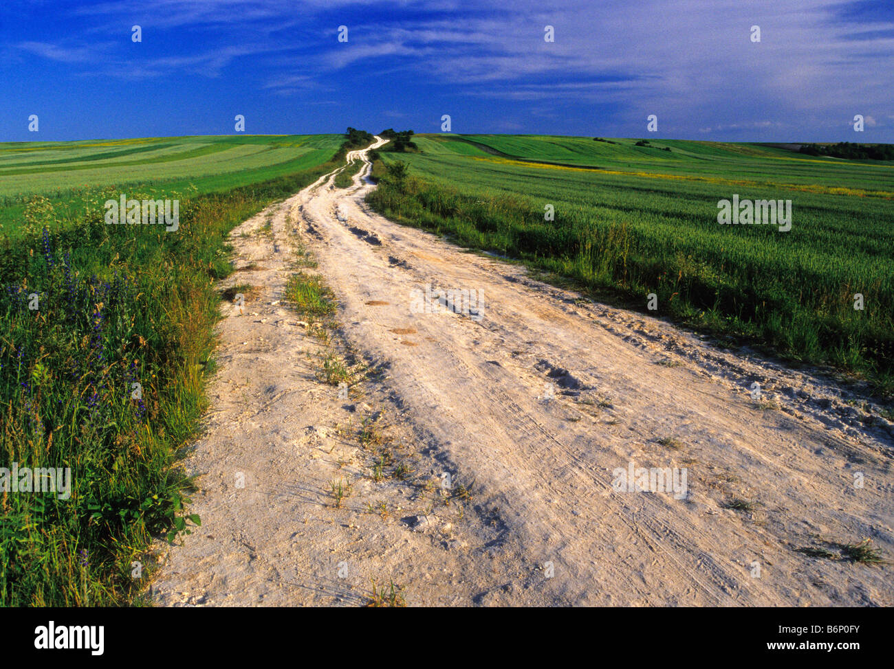 white rural road Stock Photo - Alamy