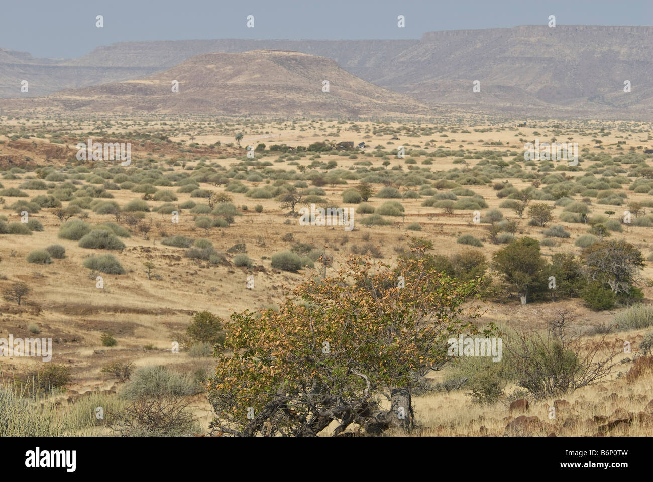Palmwag lodge hi-res stock photography and images - Alamy