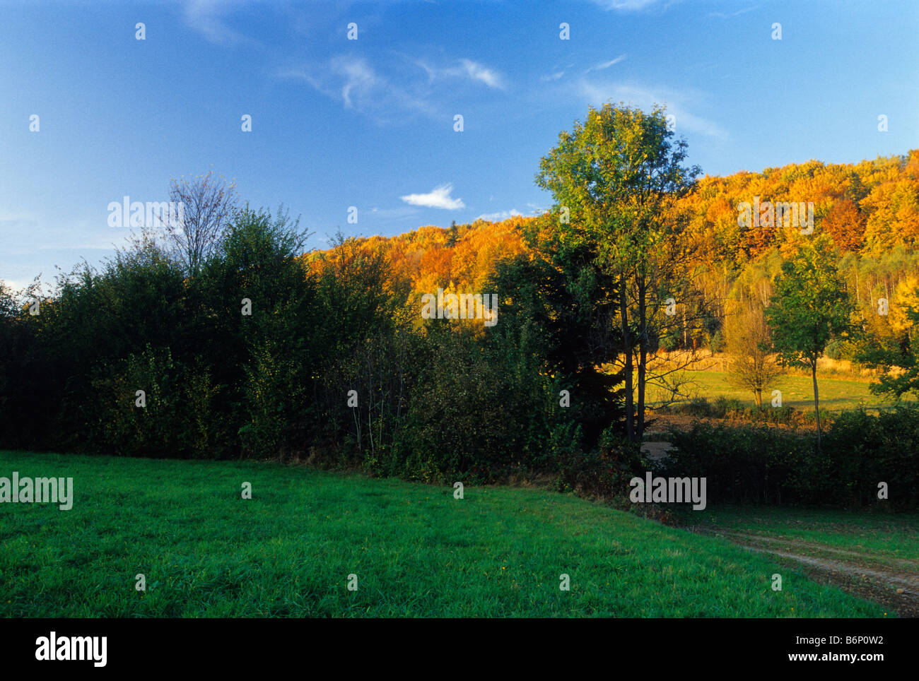 Polish Poland landscape scenery Stock Photo - Alamy