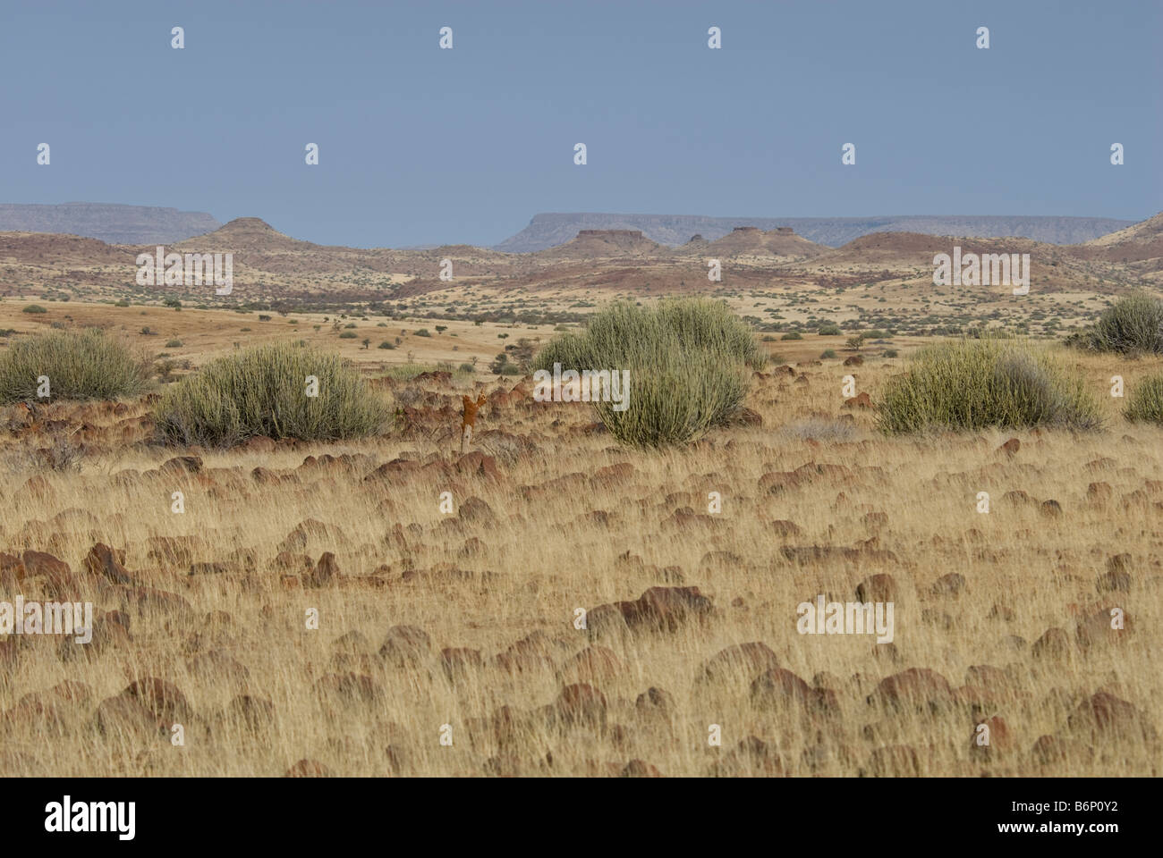 Uniab river hi-res stock photography and images - Alamy