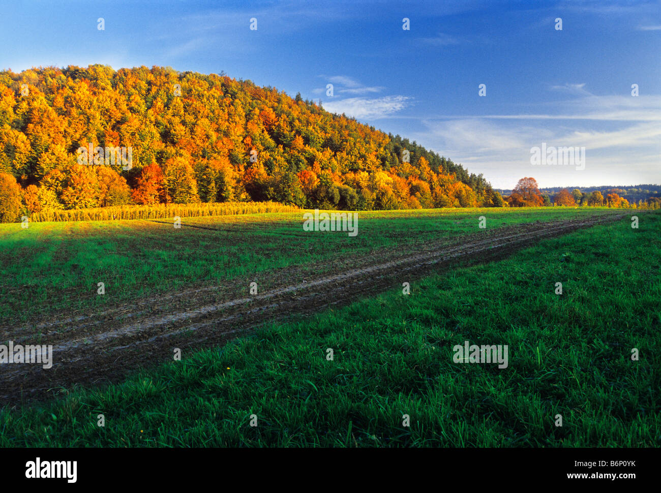Polish Poland landscape scenery Stock Photo - Alamy