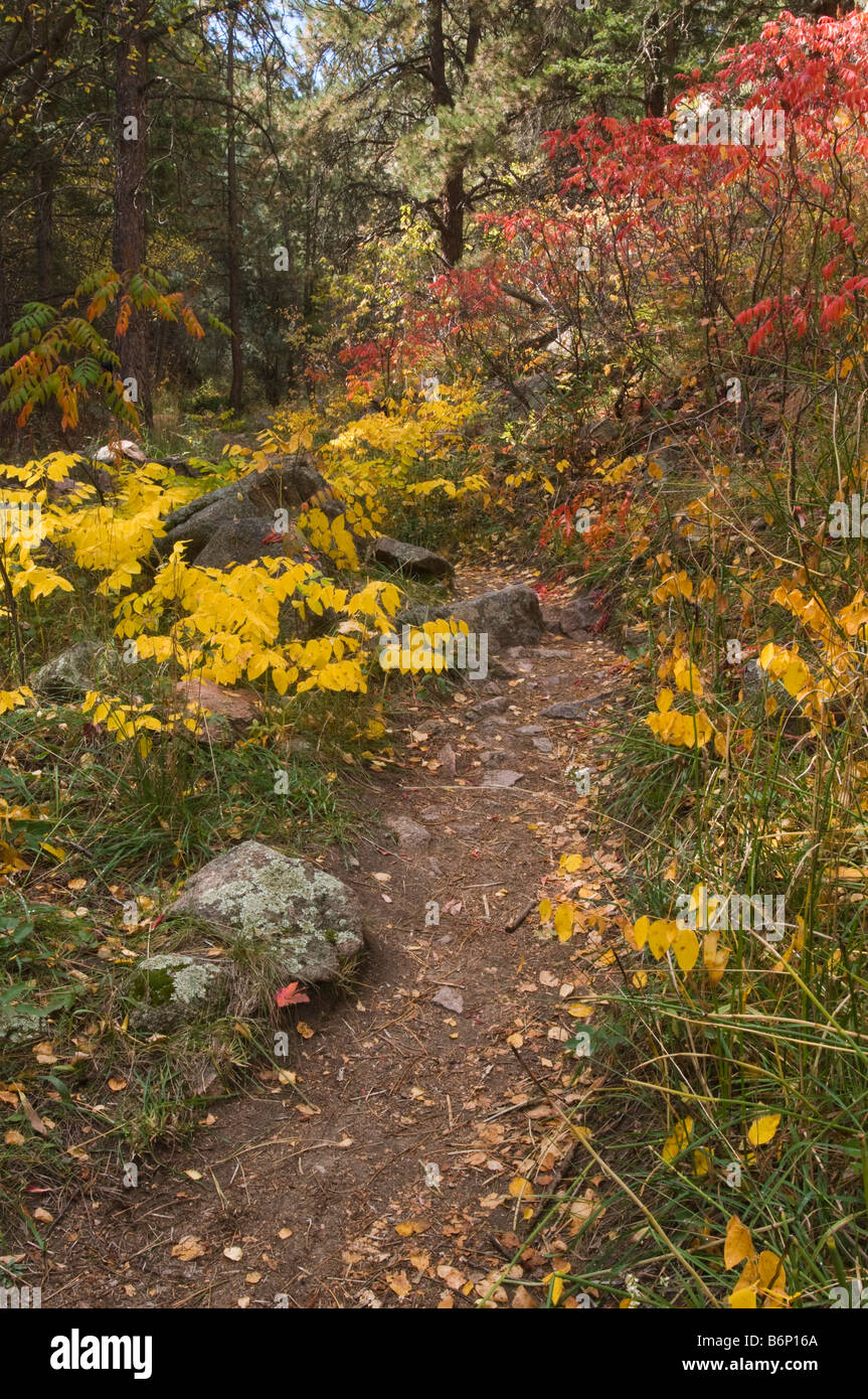 Footpath singletrack hi-res stock photography and images - Alamy