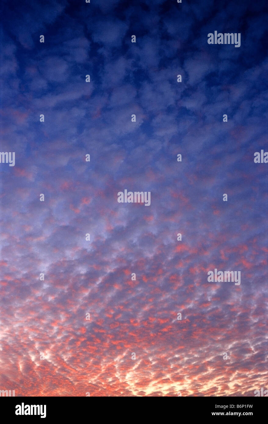 altocumulus sunset sky Stock Photo - Alamy