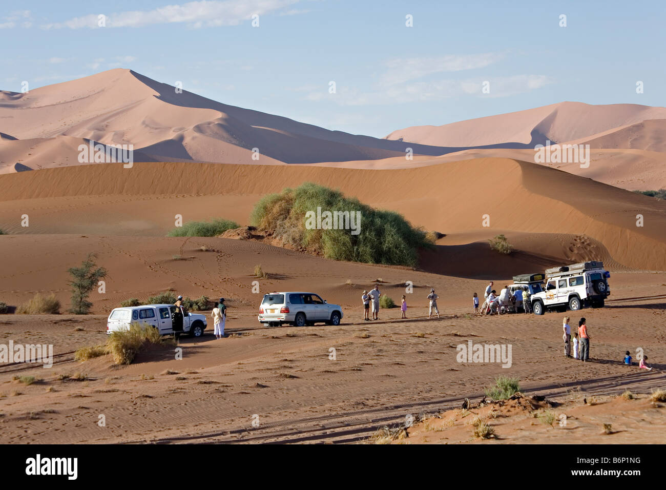 Traffic jam in Namib Desert Namib Naukluft National Park Namibia Stock ... Traffic jam in Namib Desert Namib Naukluft National Park Namibia Stock ...