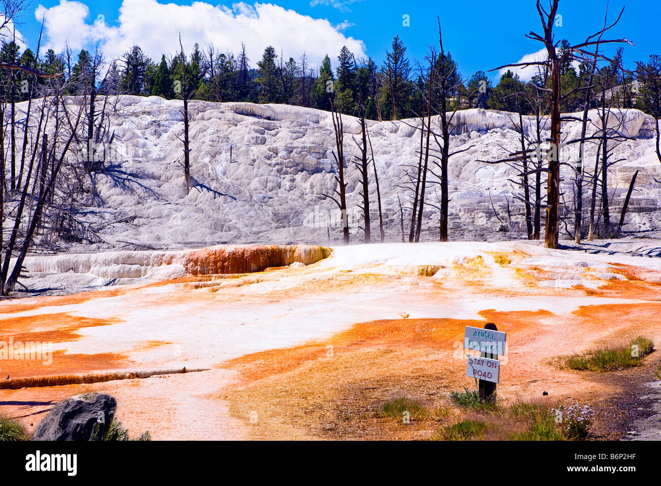 Image looking of Angel Terrace and the park sign with it at Mammoth Hot ...