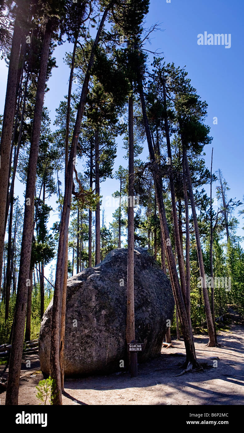 Image of the house sized glacial boulder wedged up against a group of ...