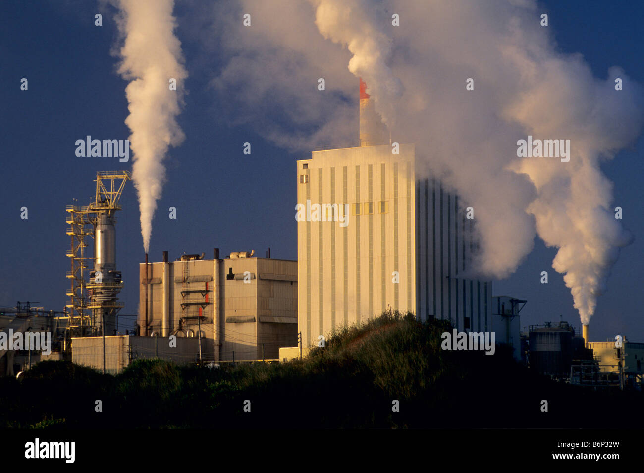 Pulp Mill and steam clouds at sunrise near Manila Samoa Peninsula ...
