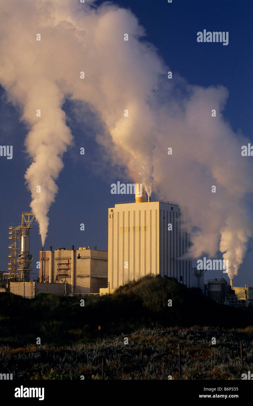 Pulp Mill and steam clouds at sunrise near Manila Samoa Peninsula ...