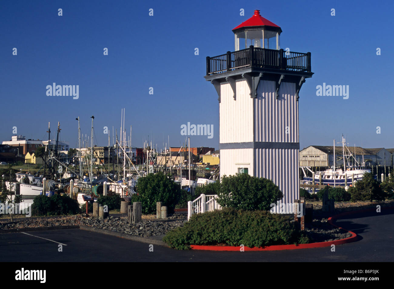 Table Bluff Light - Asesores