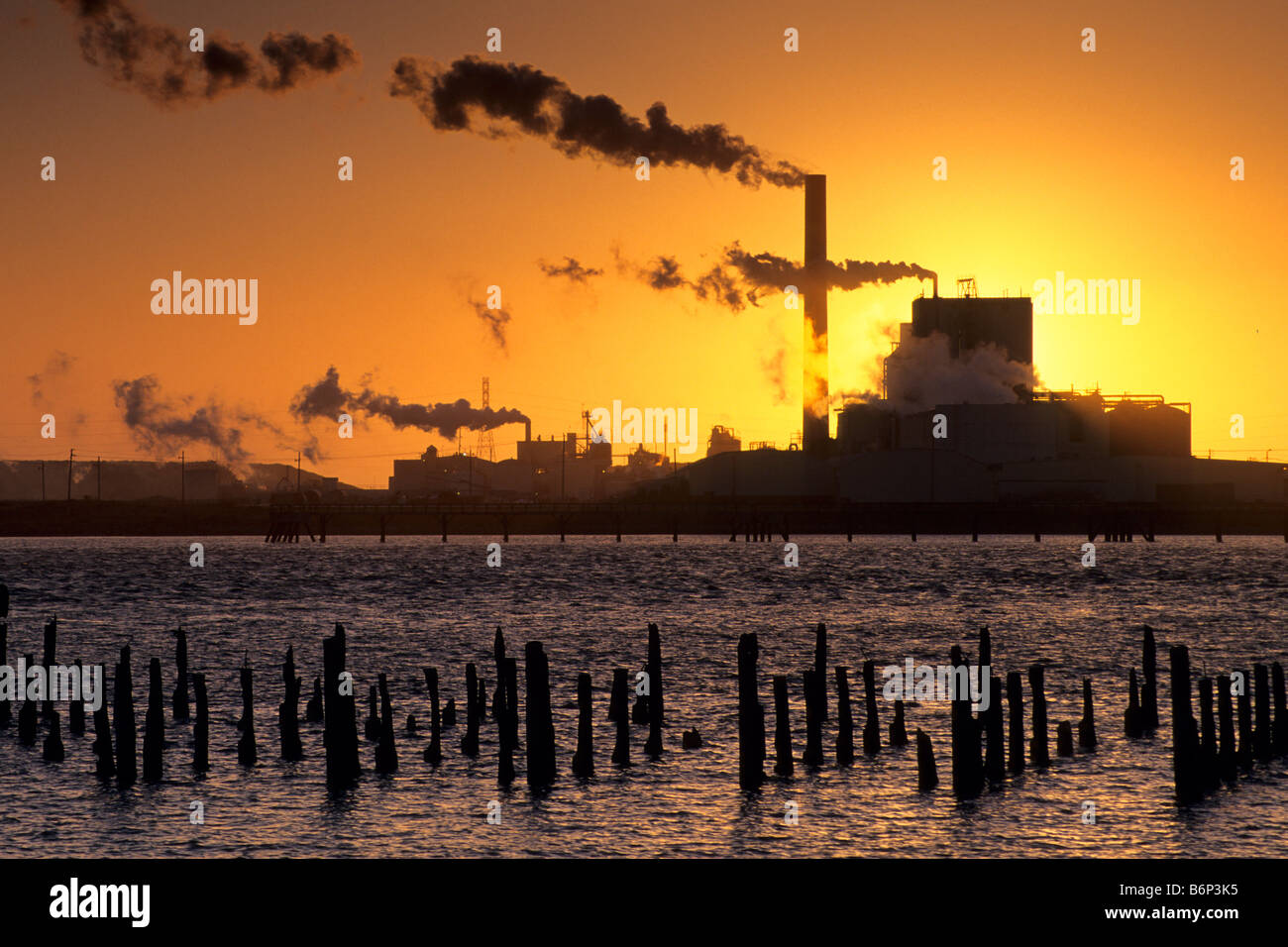 Samoa pulp mill humboldt bay hi-res stock photography and images - Alamy