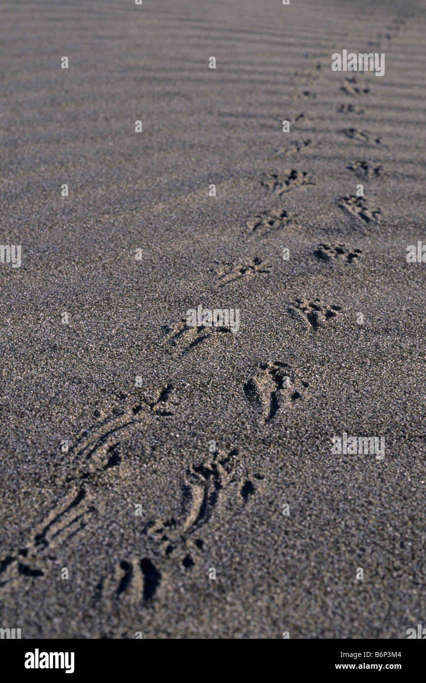 Mad river beach hi-res stock photography and images - Alamy