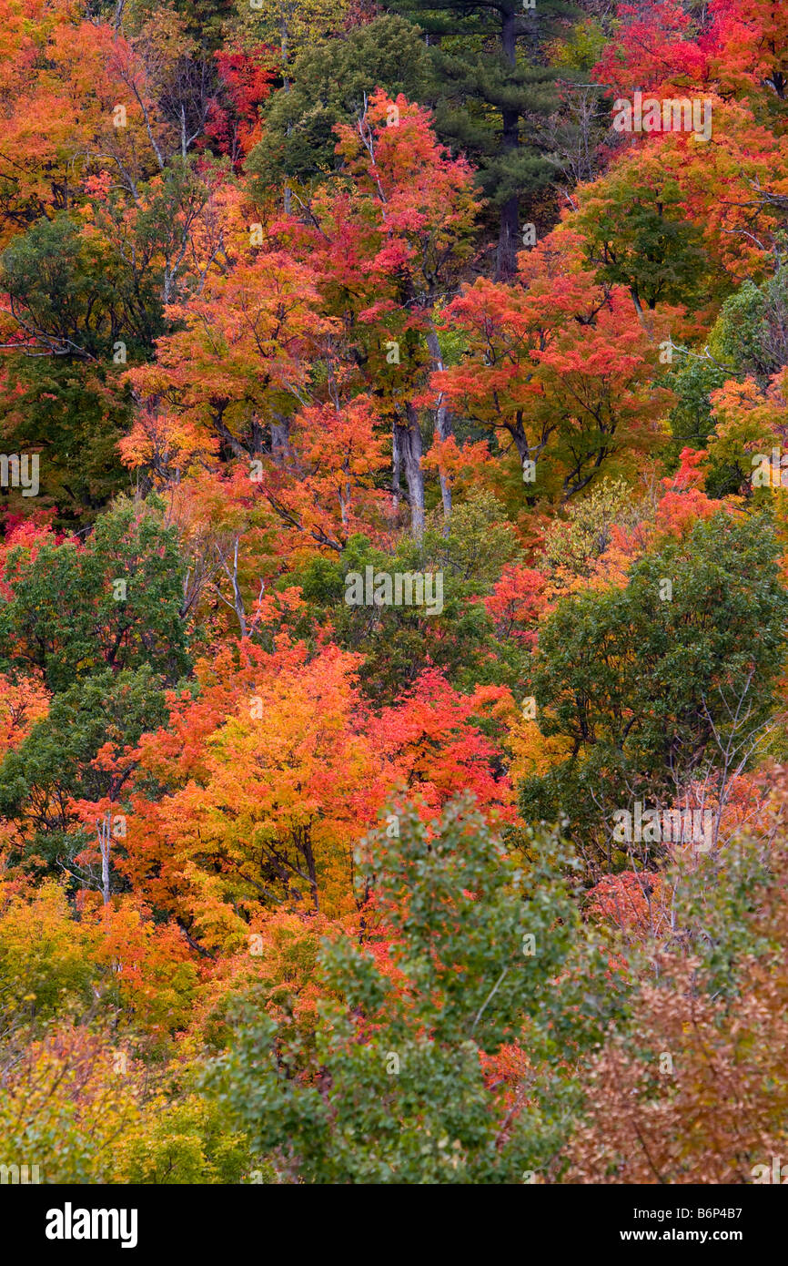Vermont color hi-res stock photography and images - Alamy