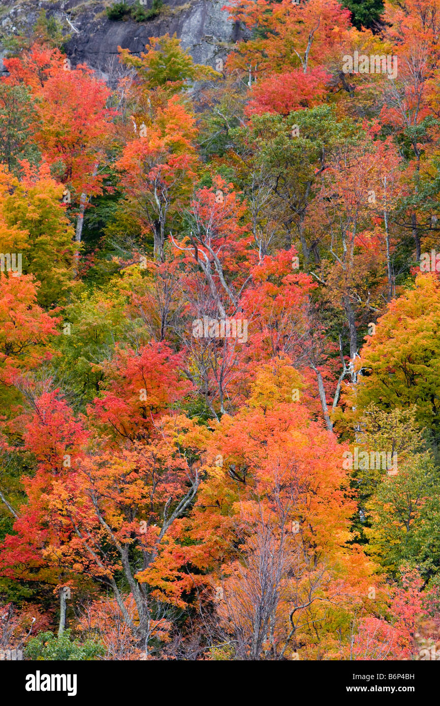 Vermont trees hi-res stock photography and images - Alamy