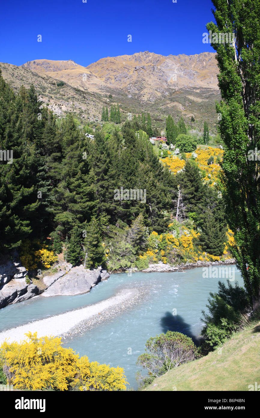 Skippers canyon covered in yellow Gorse, Queenstown, New Zealand Stock ...