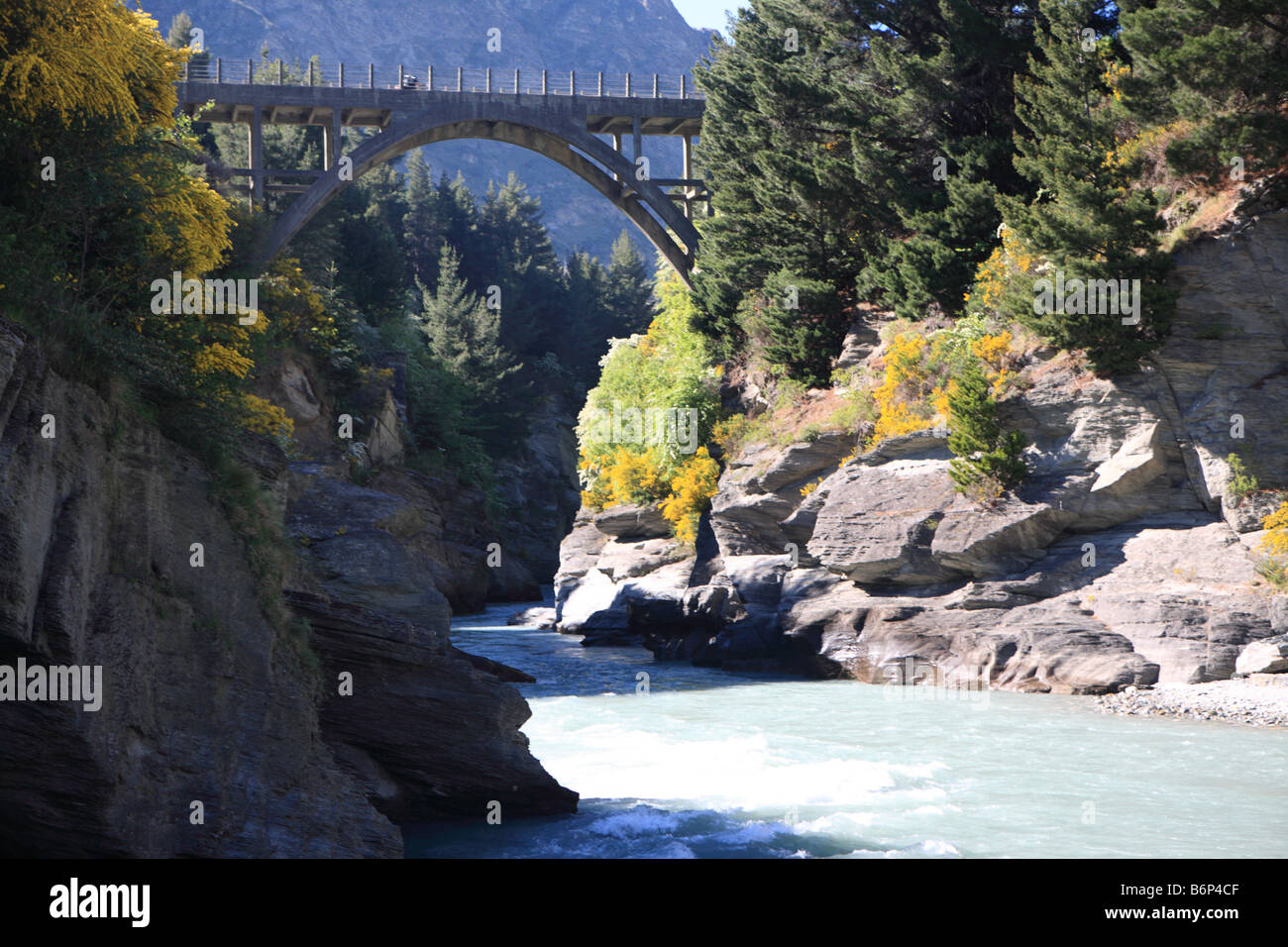 Skippers canyon covered in yellow Gorse, Queenstown, New Zealand Stock ...