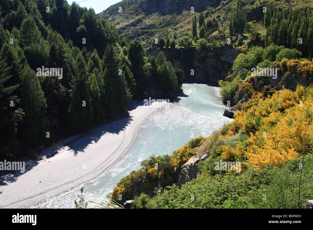 Skippers canyon covered in yellow Gorse, Queenstown, New Zealand Stock ...
