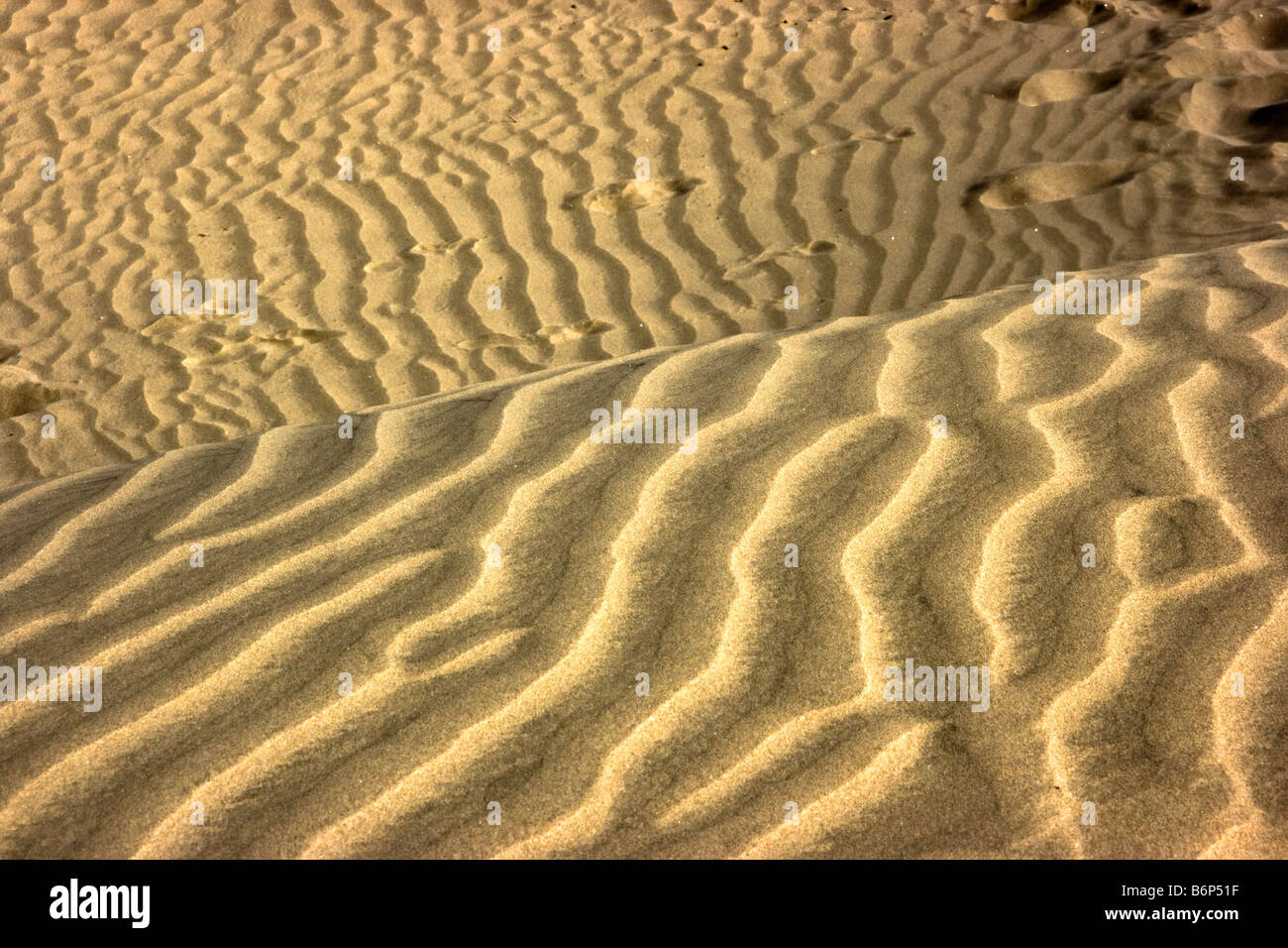 Pattern of ridges on sand dunes at Maspalomas, Gran Canaria Stock Photo ...
