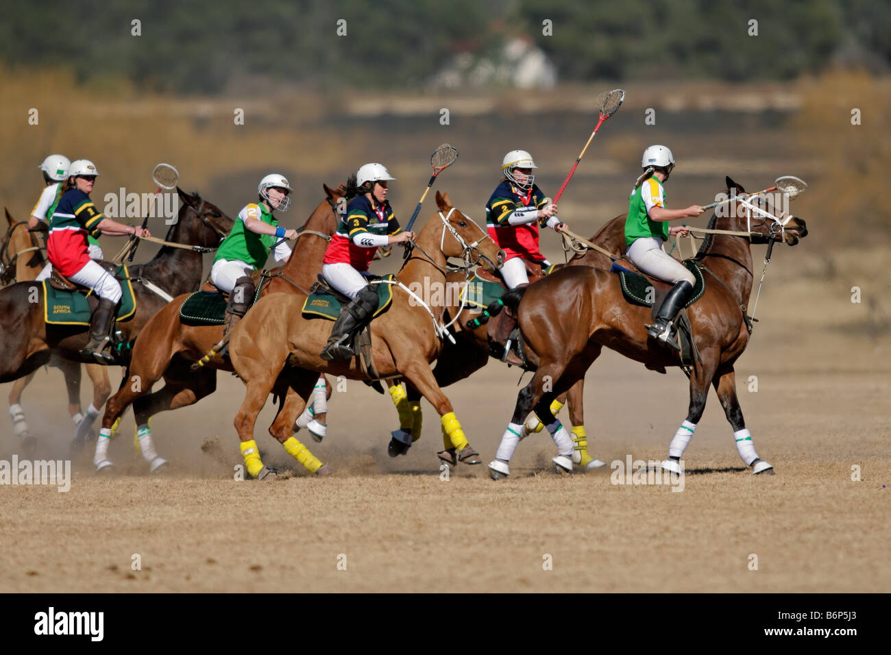 Polocrosse hi-res stock photography and images - Alamy
