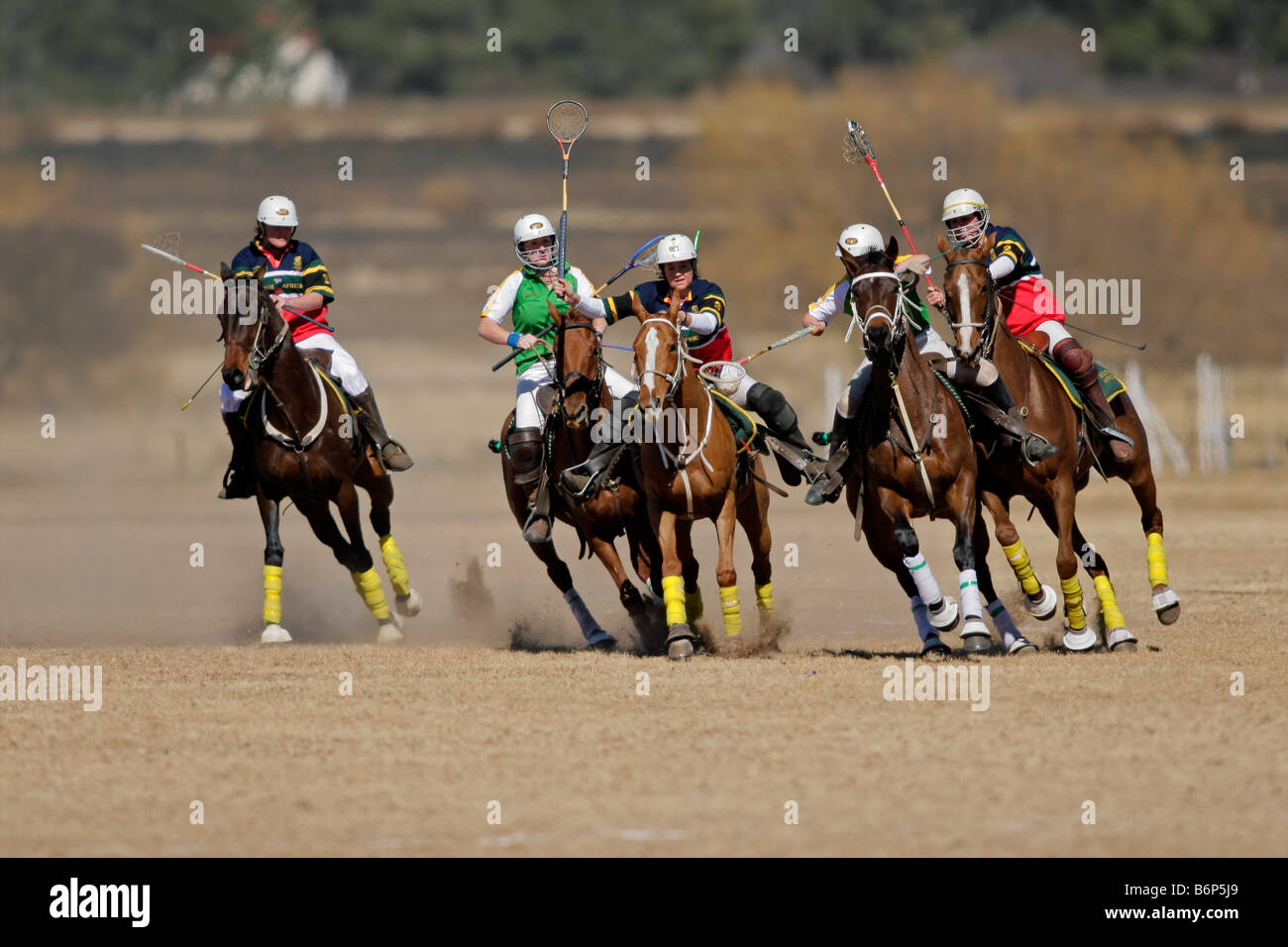 Polocrosse High Resolution Stock Photography and Images - Alamy
