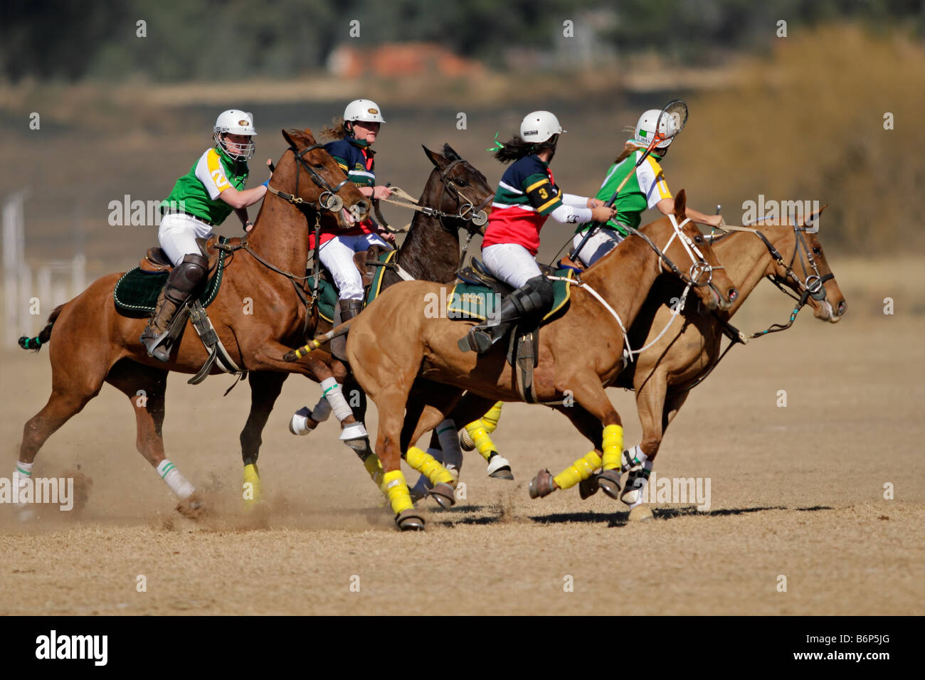 Polocrosse hi-res stock photography and images - Alamy