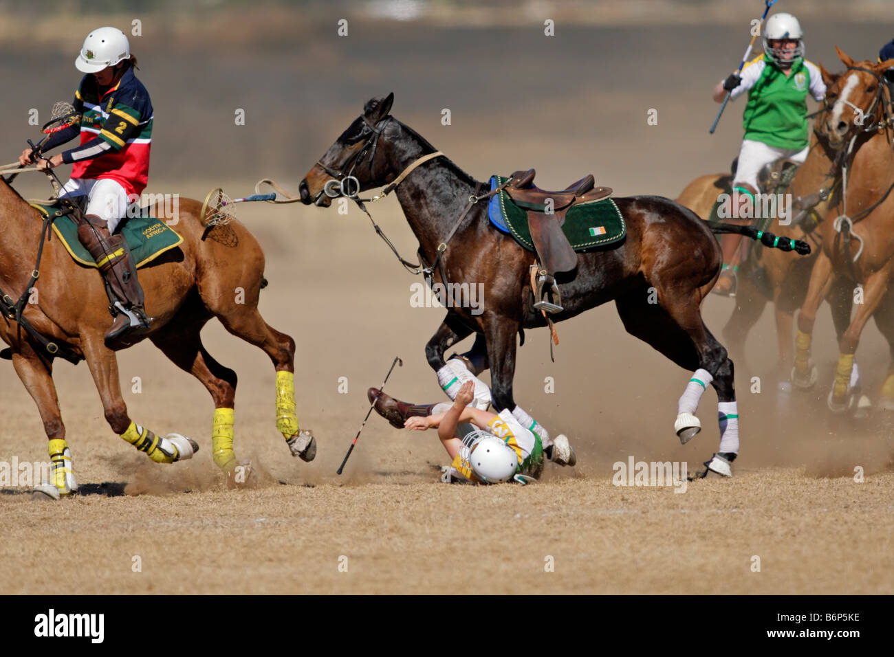 Polocrosse hi-res stock photography and images - Alamy