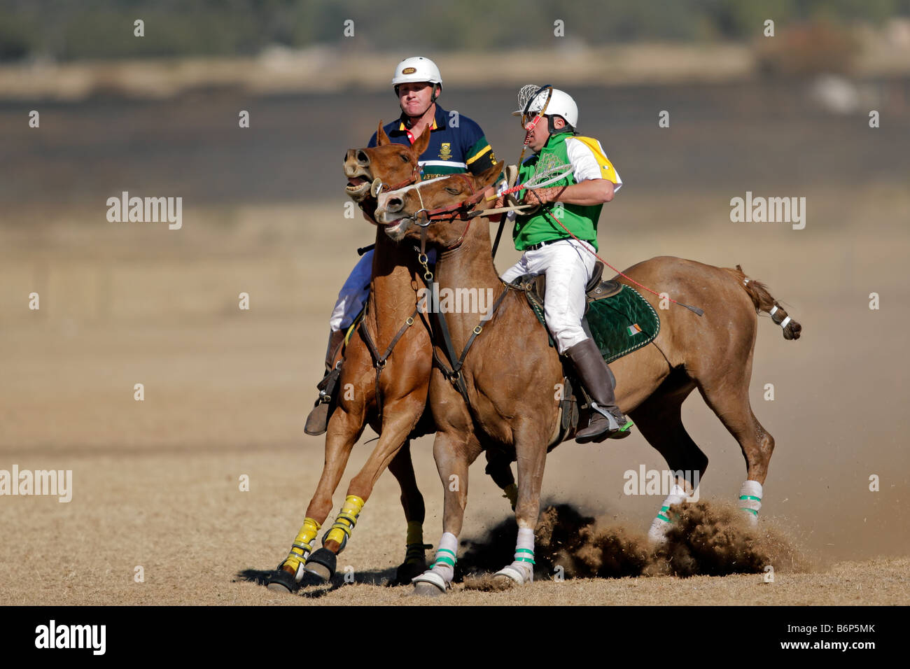 Polocrosse hi-res stock photography and images - Alamy