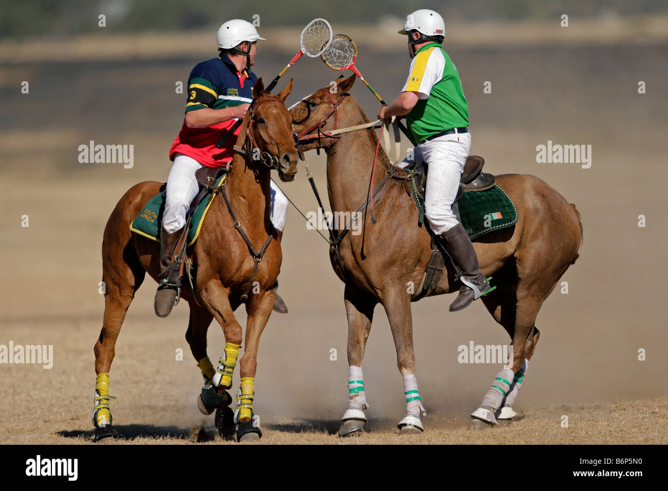 International polocrosse (mens’s teams), South Africa versus Ireland ...