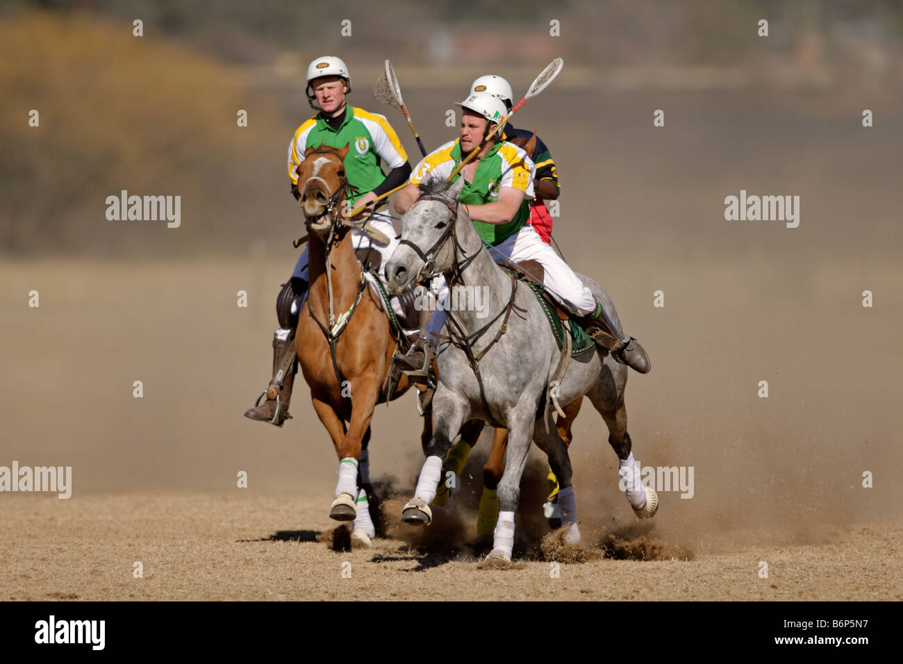 International polocrosse (mens’s teams), South Africa versus Ireland ...