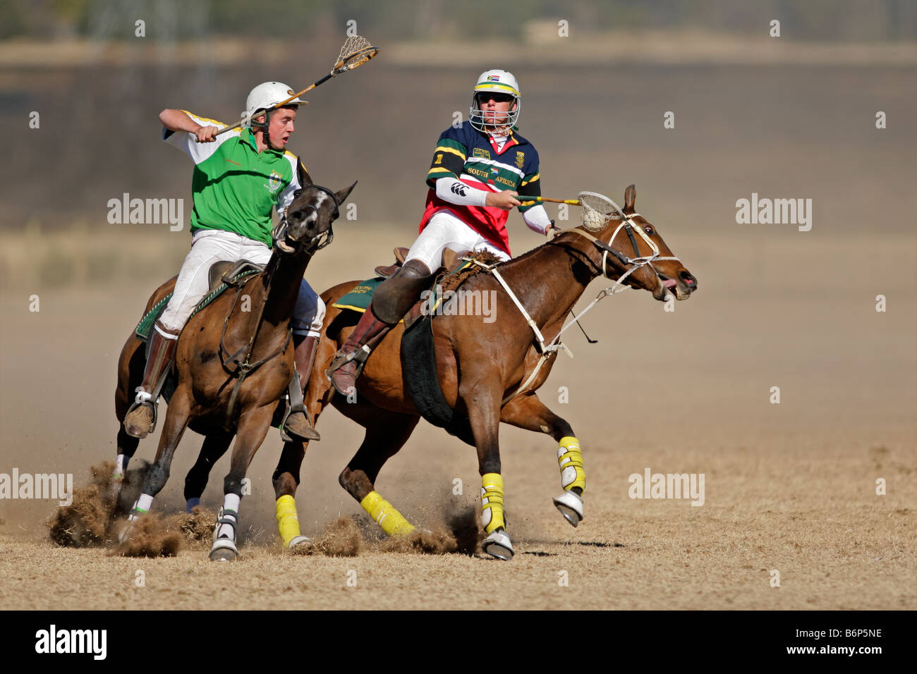 International polocrosse (mens’s teams), South Africa versus Ireland ...