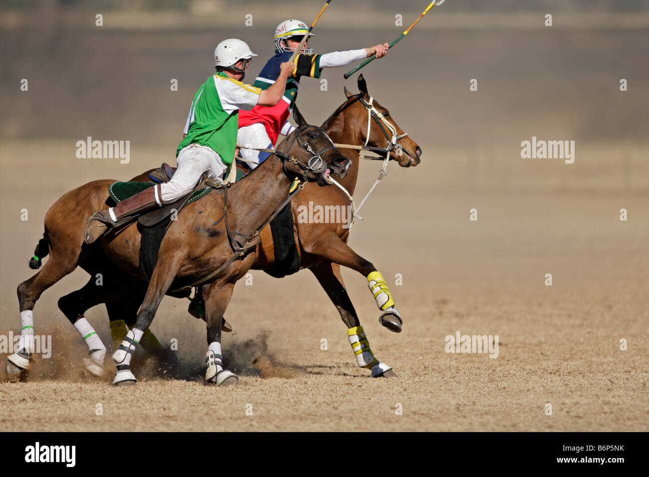 International polocrosse (mens’s teams), South Africa versus Ireland ...