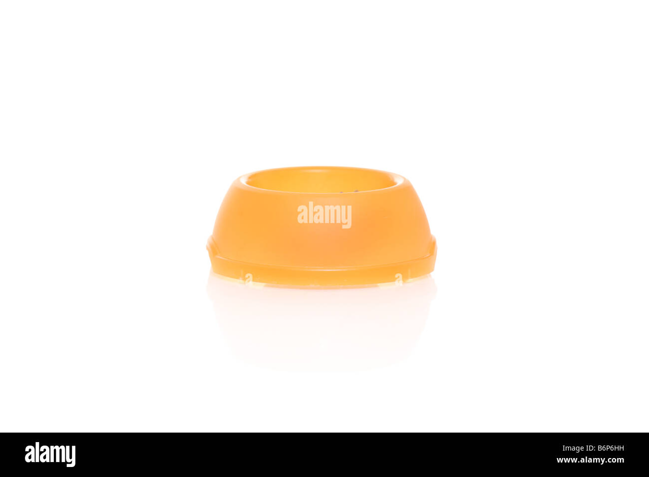 Empty dog bowl Stock Photo - Alamy