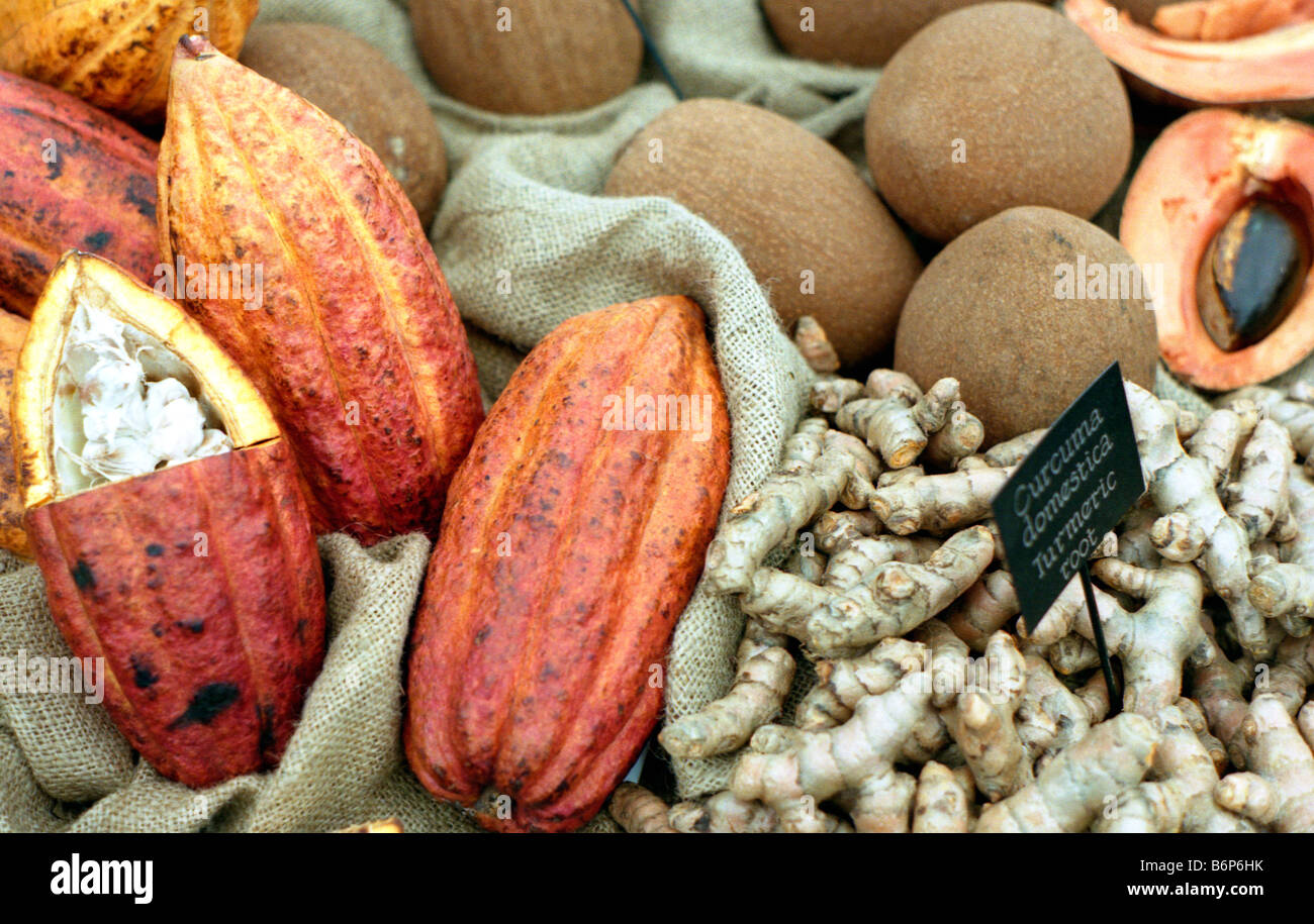 Coco pods hi-res stock photography and images - Alamy