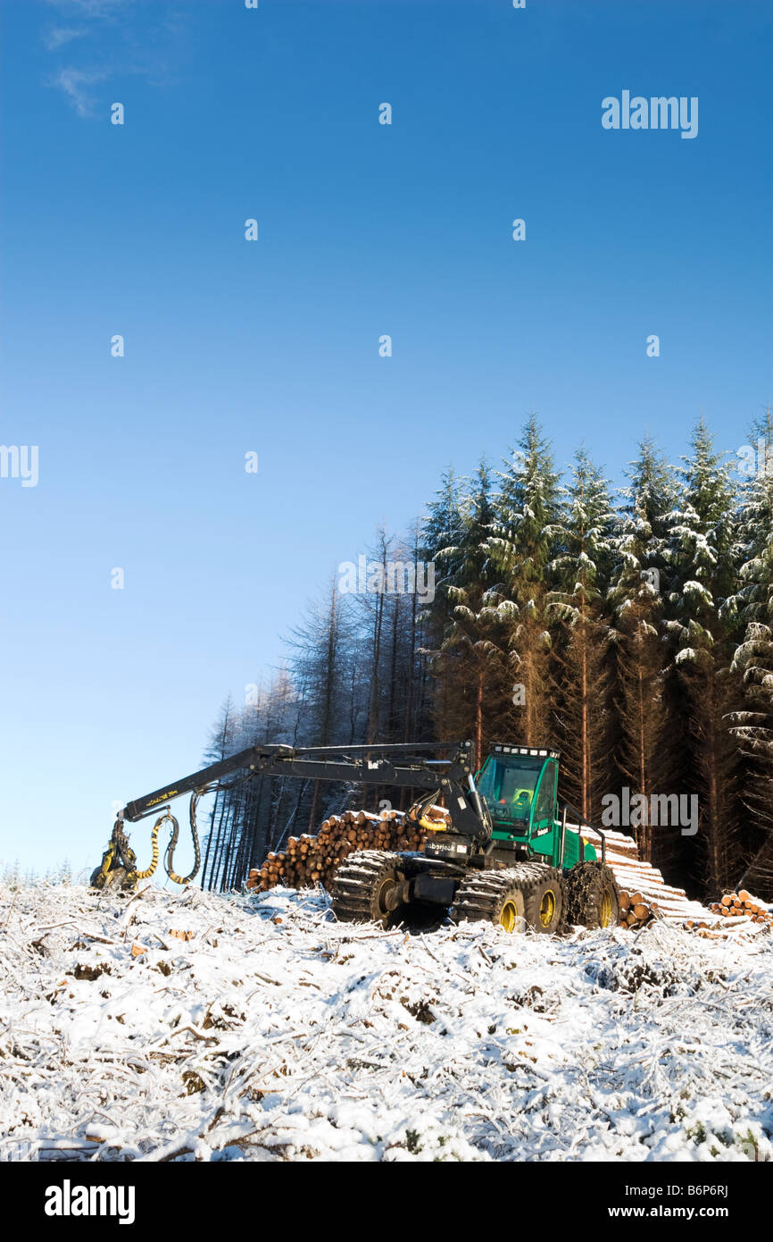 Scottish forestry hi-res stock photography and images - Alamy