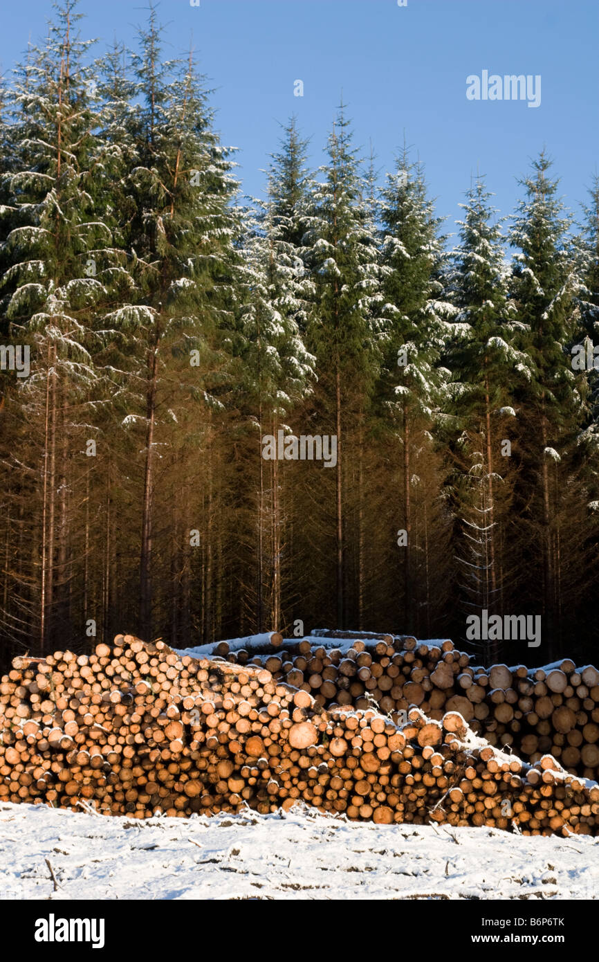 Forestry commission scotland hi-res stock photography and images - Alamy