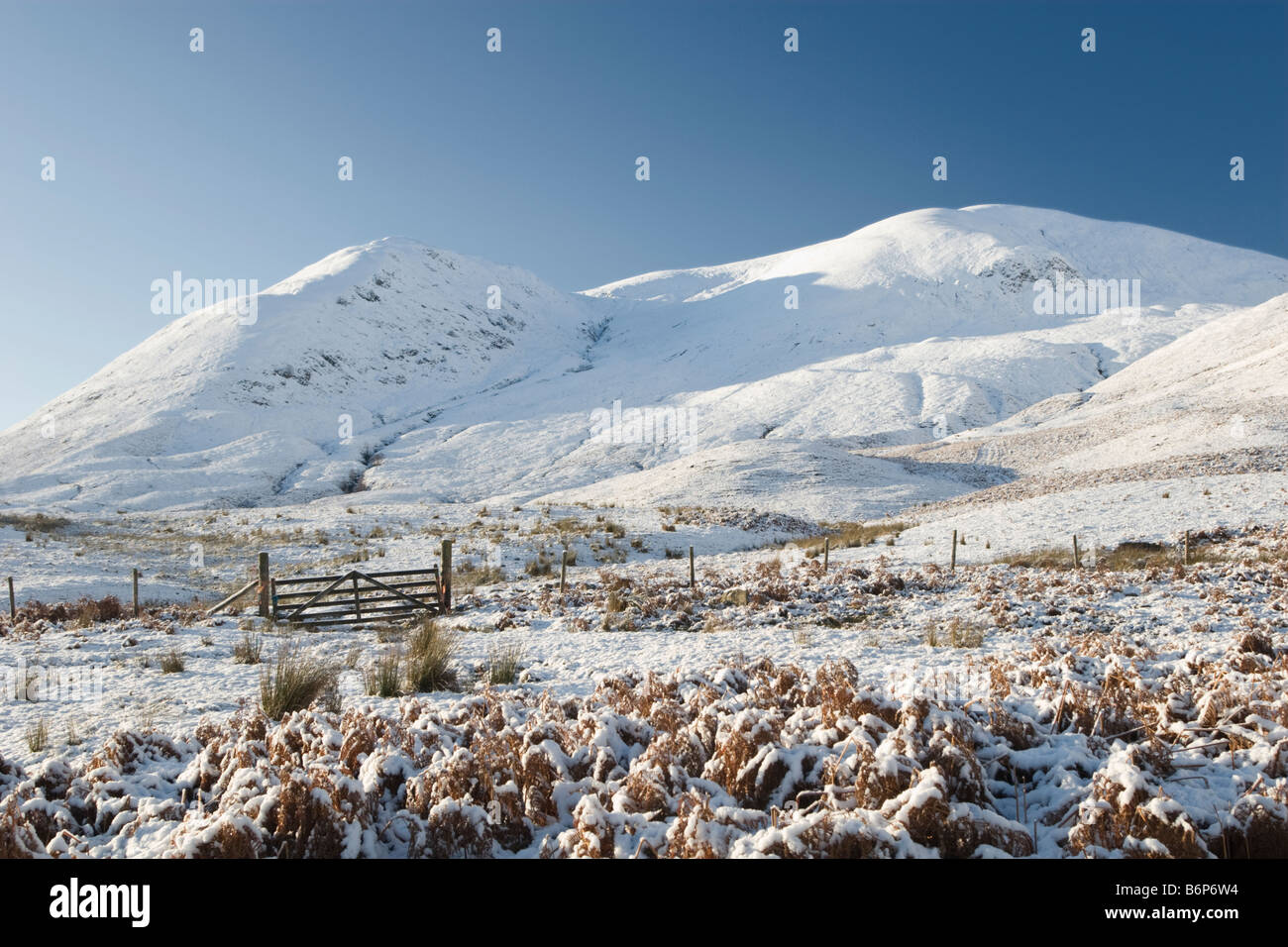 Scottish Highlands in Winter Stock Photo - Alamy