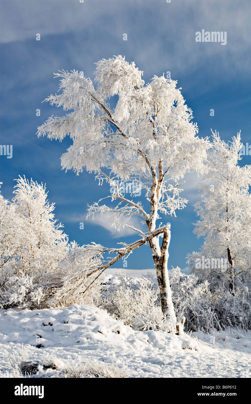 Scotland cold frost hi-res stock photography and images - Alamy