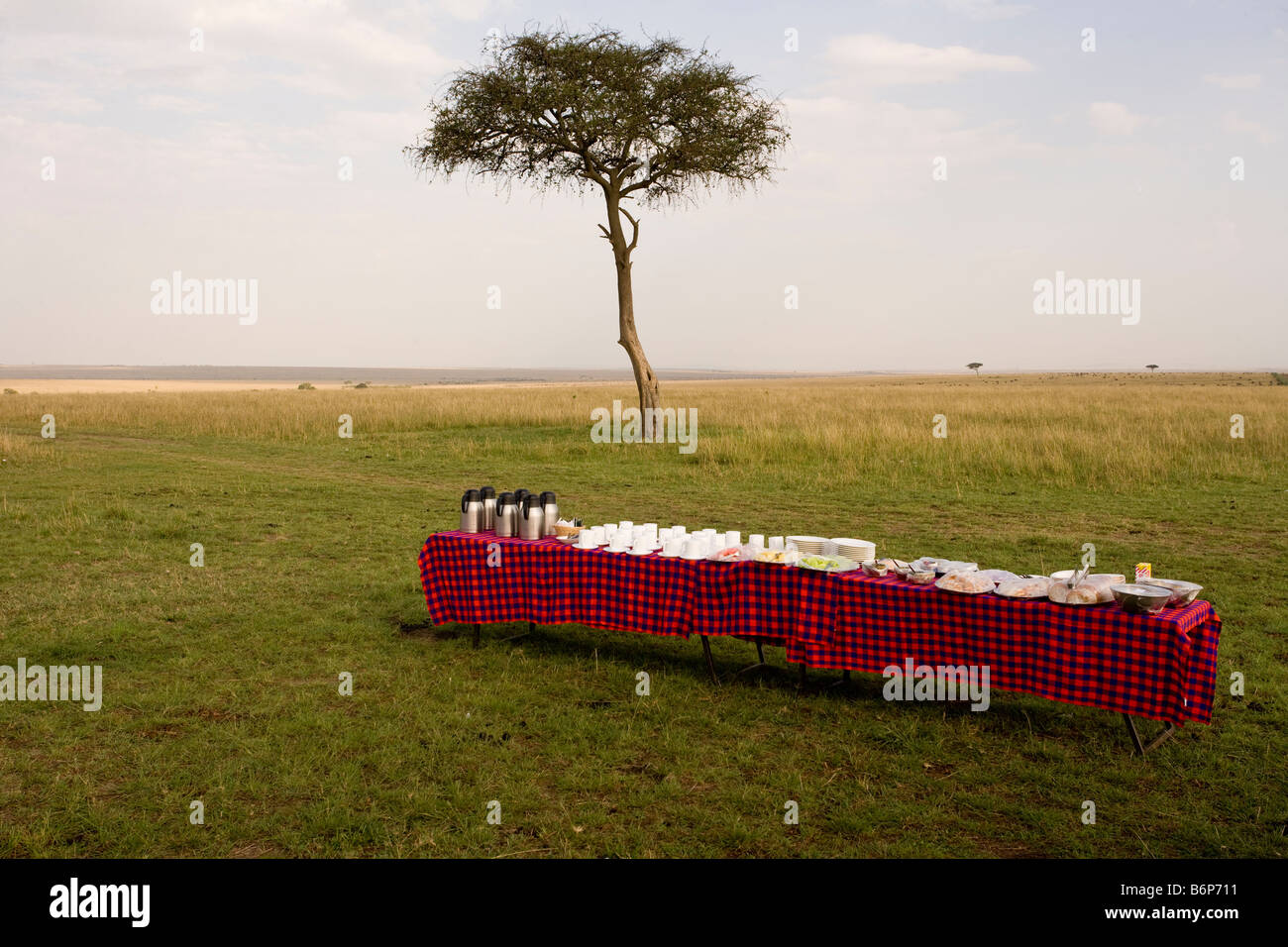 Food on safari hi-res stock photography and images - Alamy