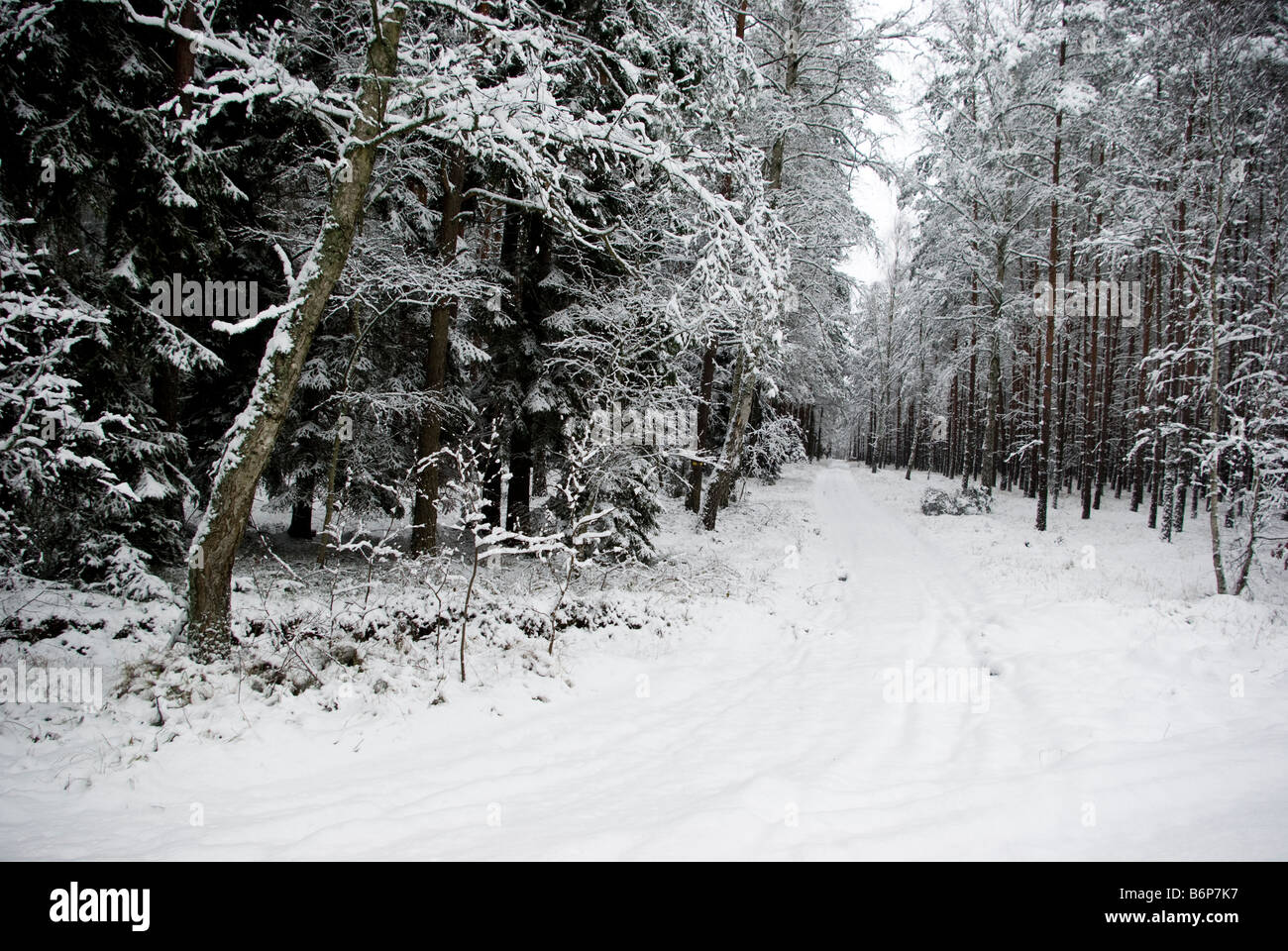 Dreamy roads hi-res stock photography and images - Alamy