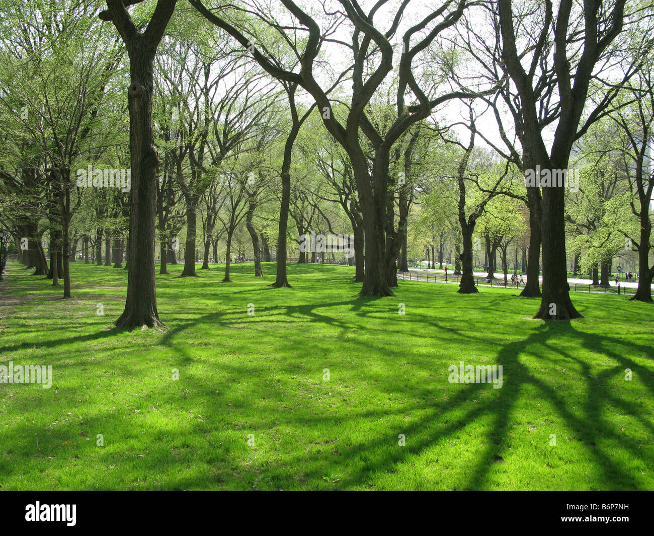 Sunshine coming hi-res stock photography and images - Alamy