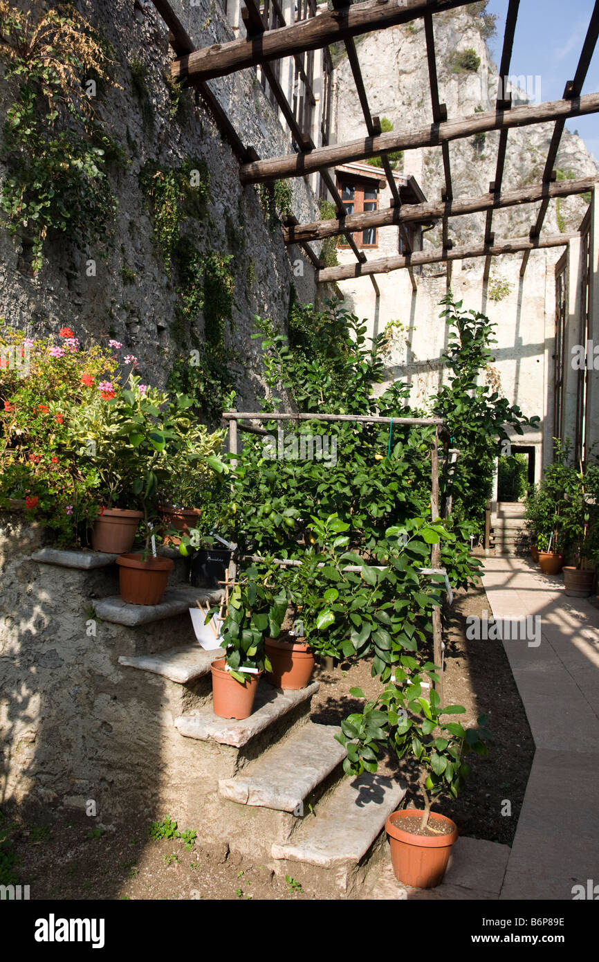 Limonaia del Castel, Castle lemon grove, Limone, Lake Garda, Italy ...
