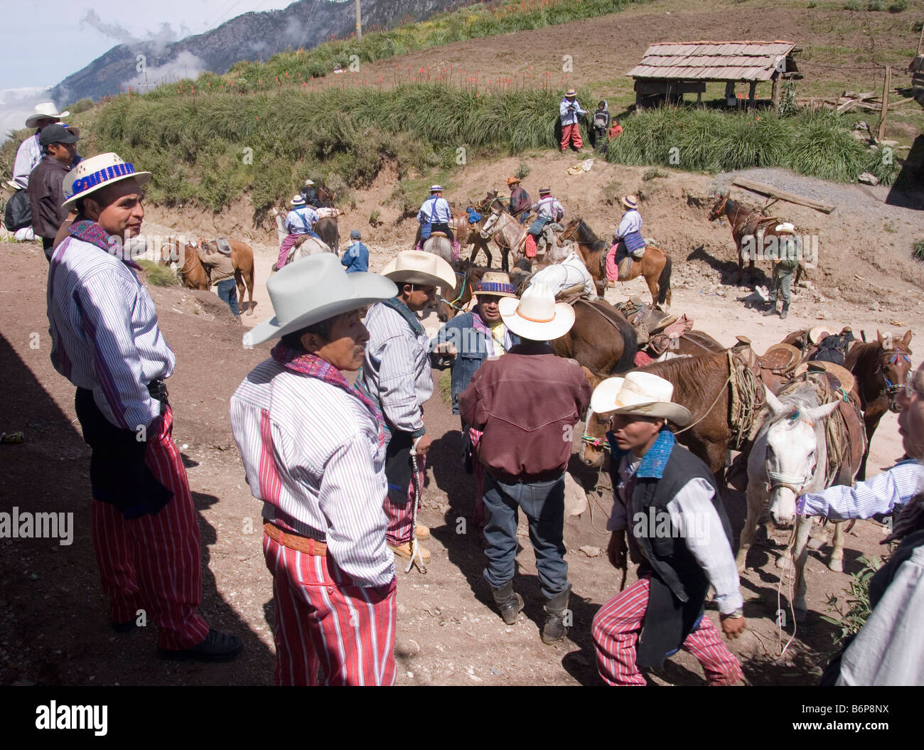 Annual horse festival hi-res stock photography and images - Alamy
