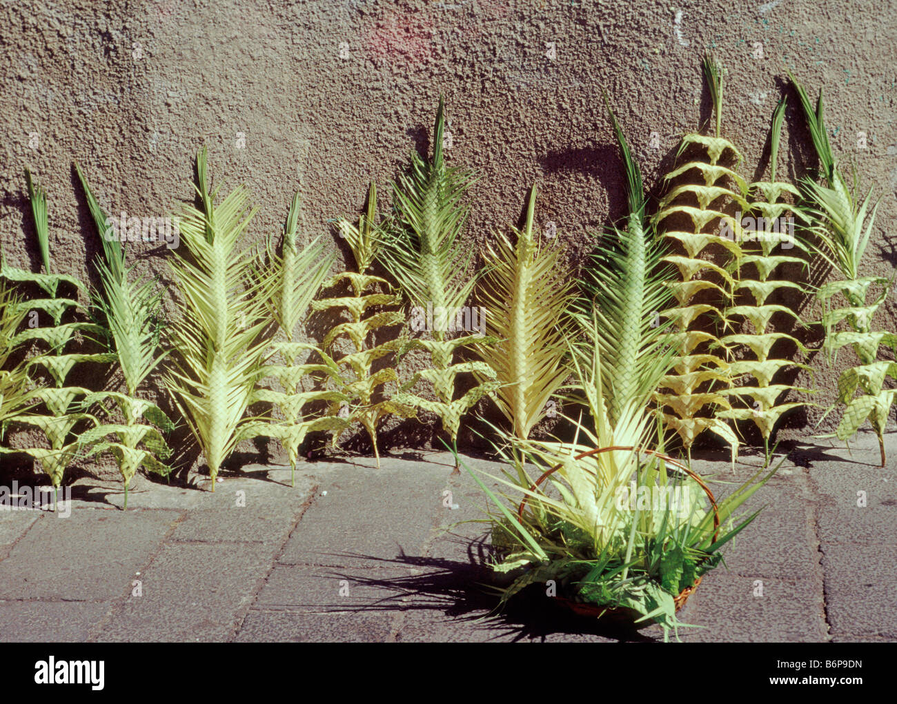 Palm trees display on Palm Sunday at Piazza Duomo in Taormina Messina ...