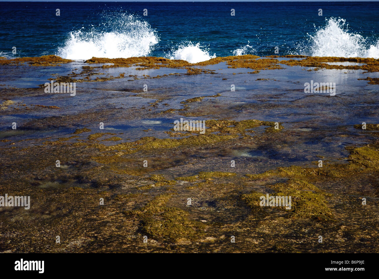 Raised tidal pool in Hawaii Stock Photo - Alamy
