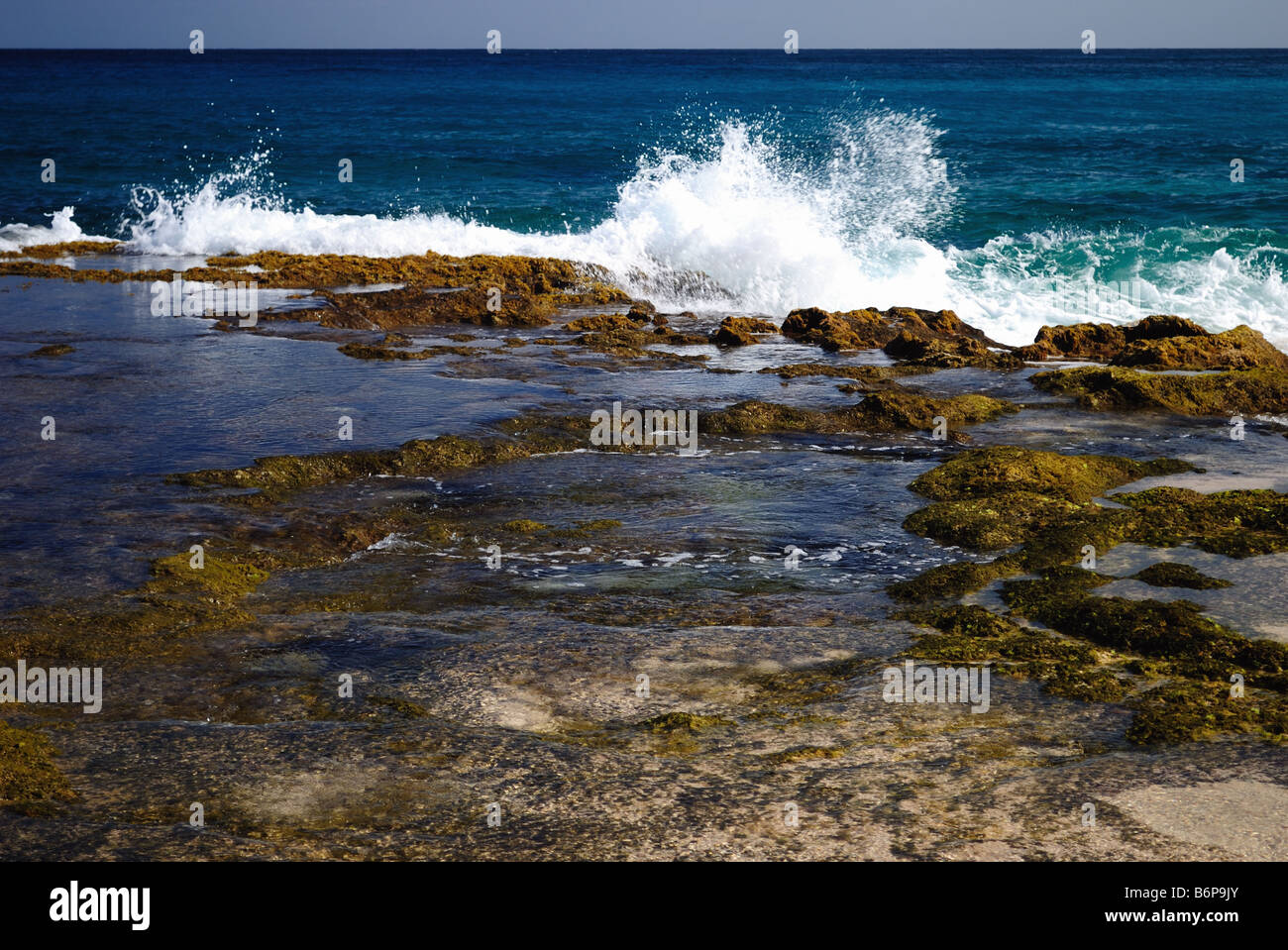 Tidal pool on the North Shore of Oahu Stock Photo - Alamy