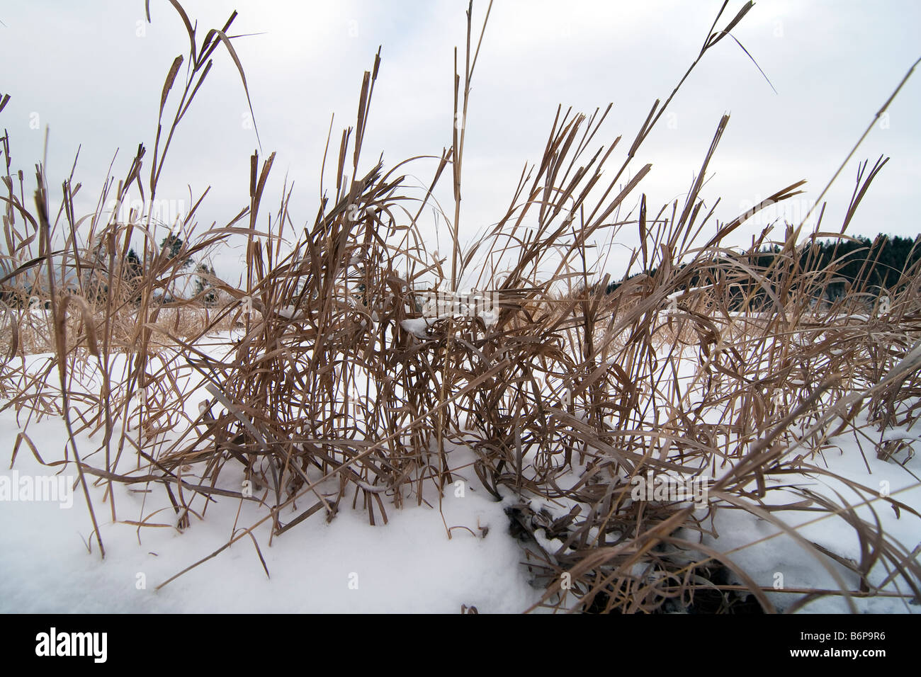 Embankment grass hi-res stock photography and images - Alamy
