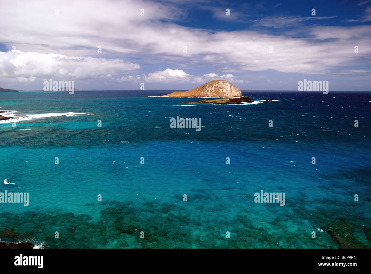 Rabbit Manana Island Oahu Stock Photo - Alamy