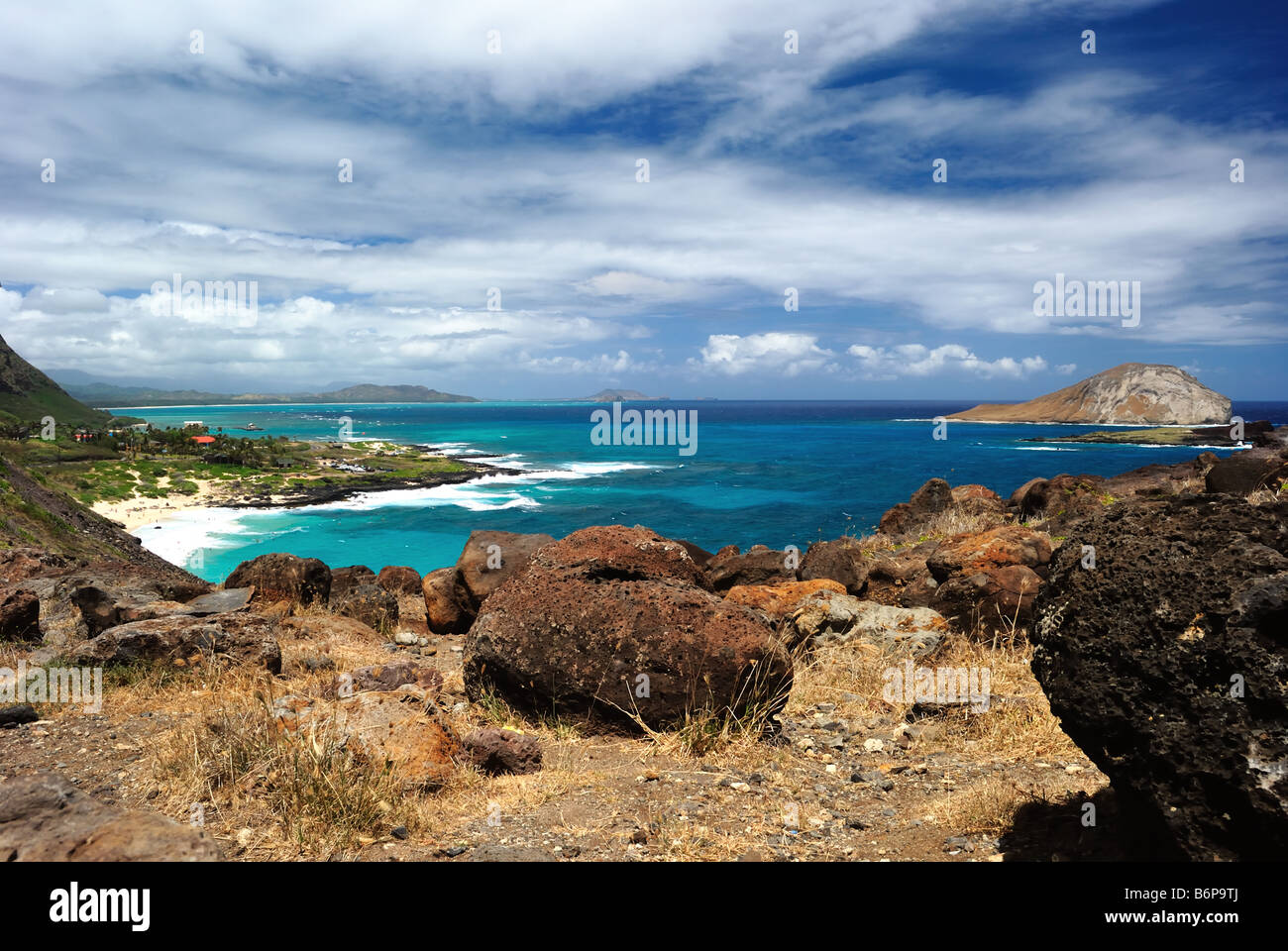 Hawaii with rabbit hi-res stock photography and images - Alamy